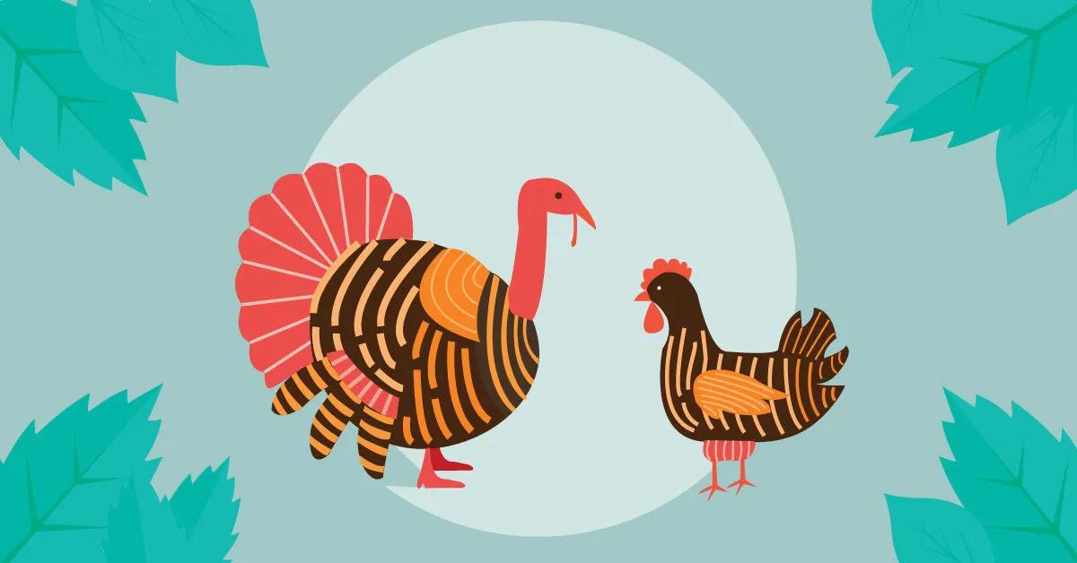 Proteína En Carne De Pavo Vs Pollo: Una Comparativa | Carnicería Moderna
