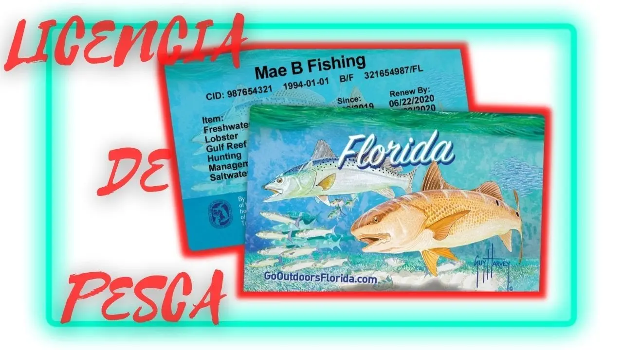 Tutorial De Pesca Recreativa: Requisitos Y Licencias En España ...